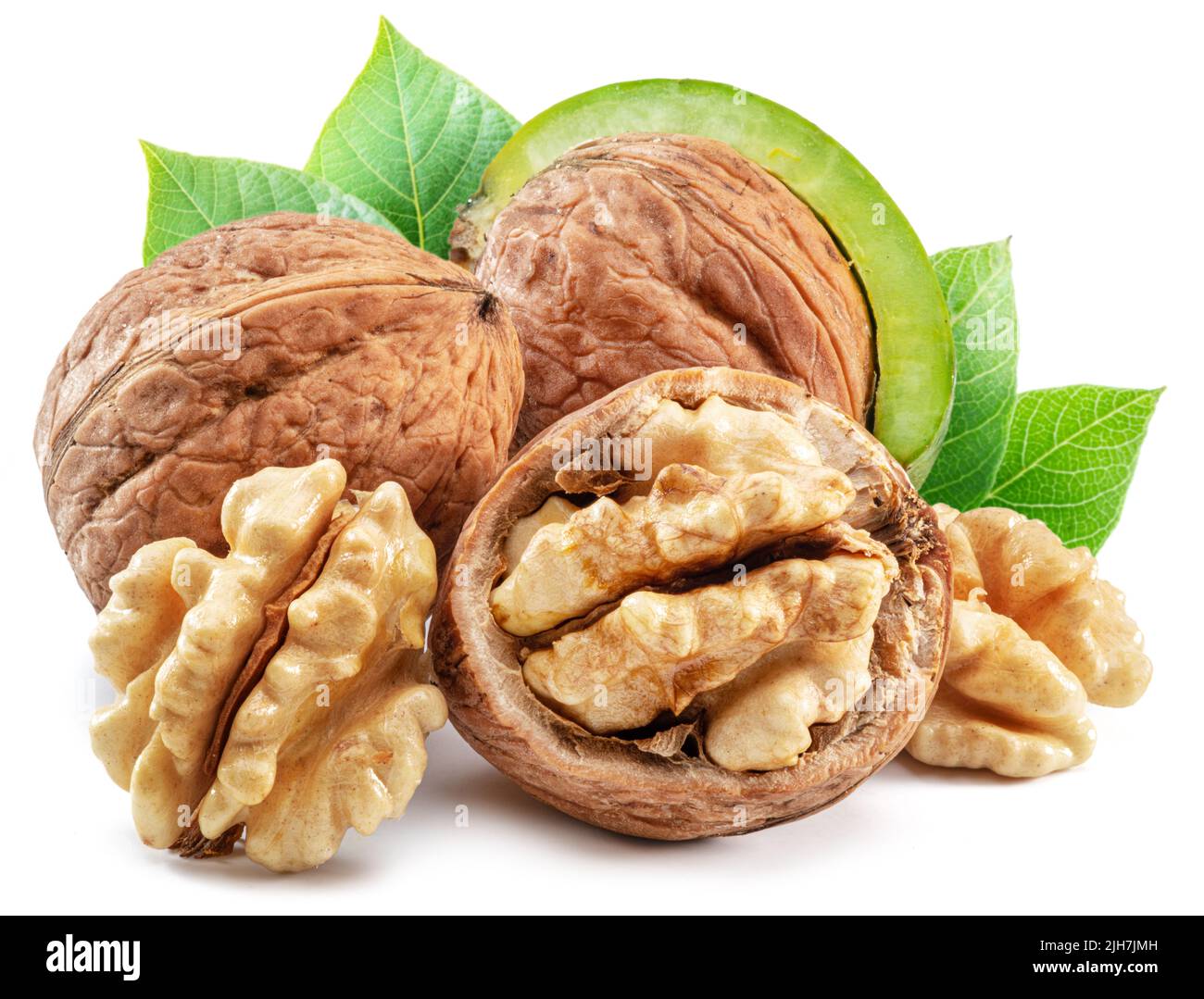 Fresh walnut in green husk, leaves and walnut kernel isolated on white ...