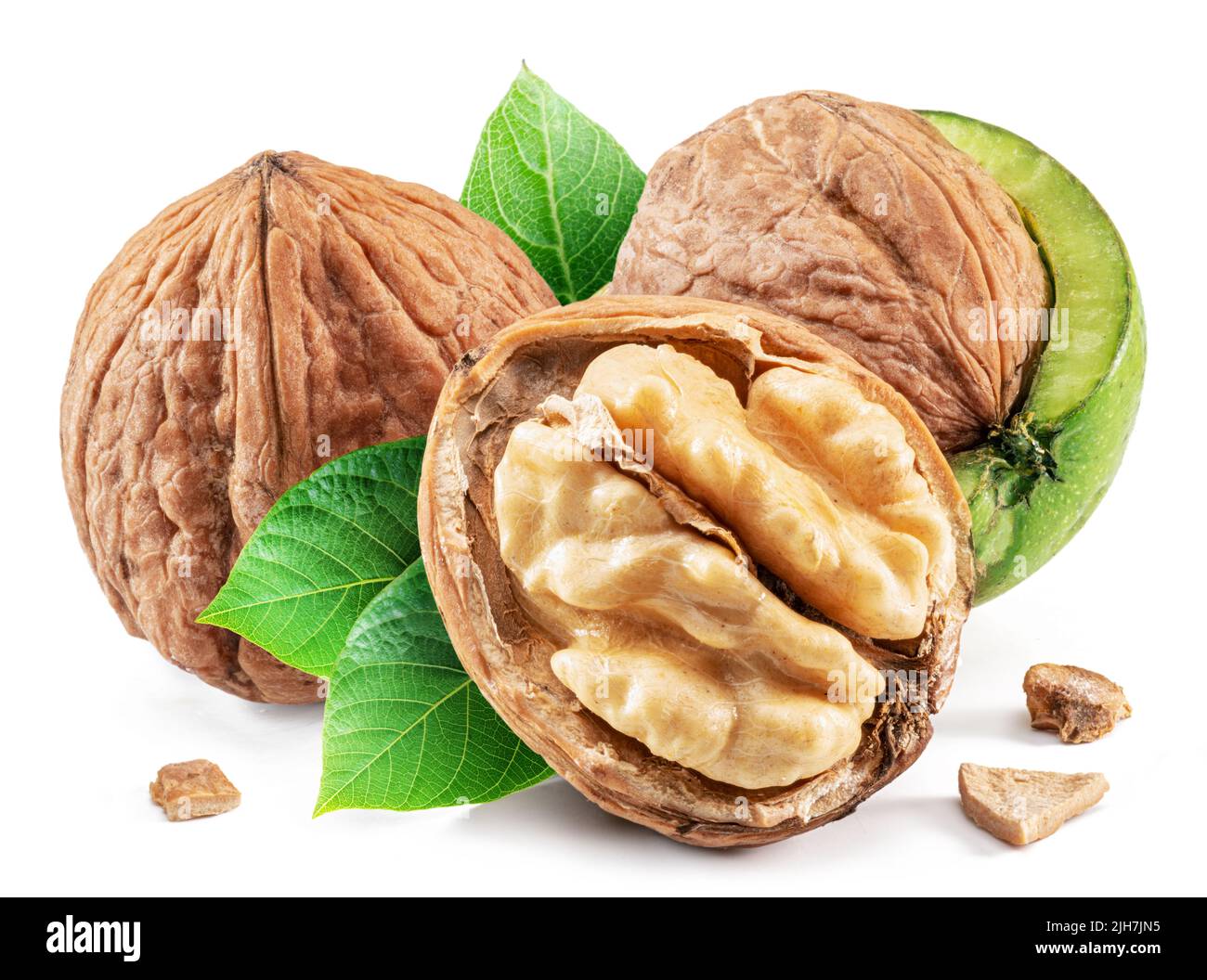 Whole walnut and walnut kernel with leaves isolated on white background ...