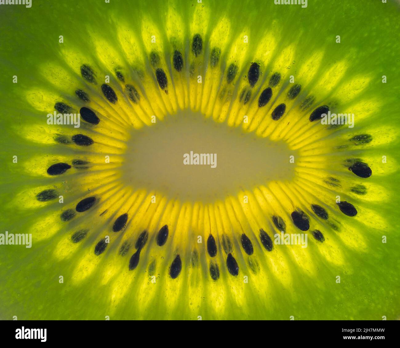 Kiwi Fruit slice Stock Photo - Alamy