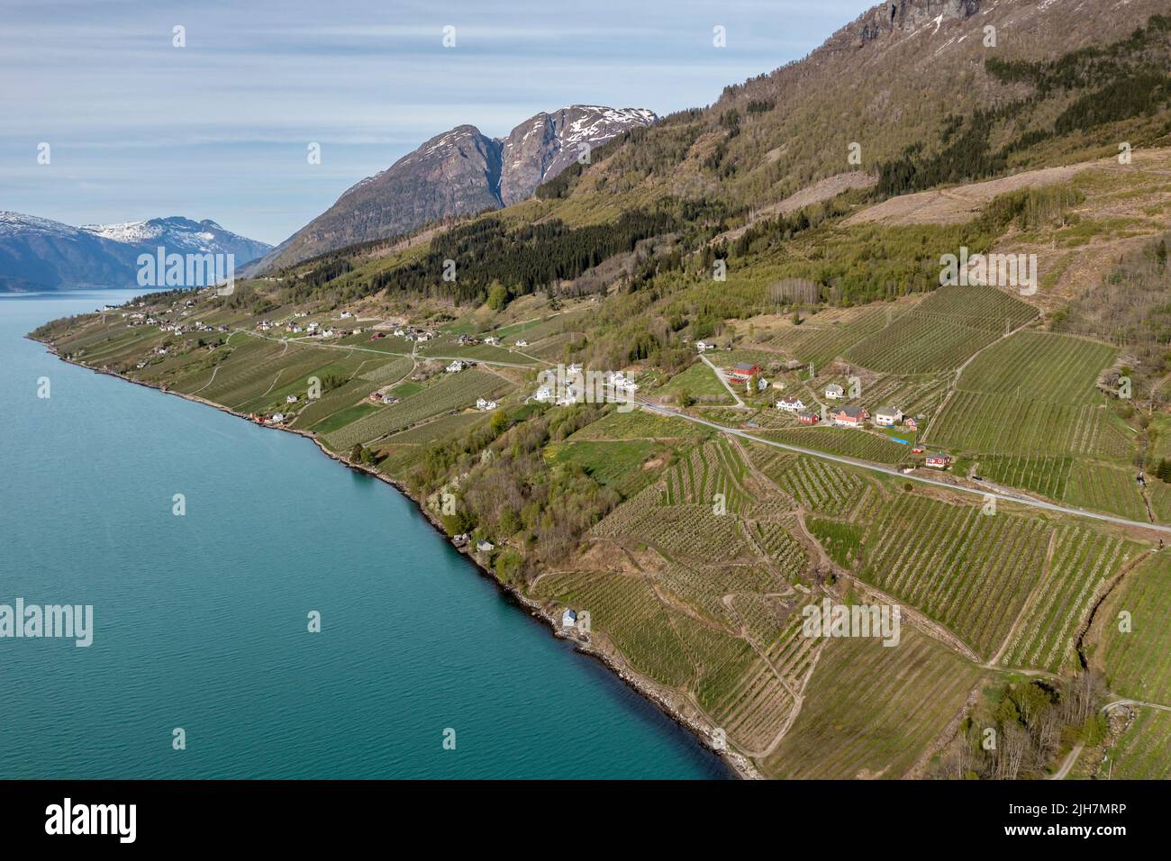 Drone fruit plantation hi-res stock photography and images - Alamy