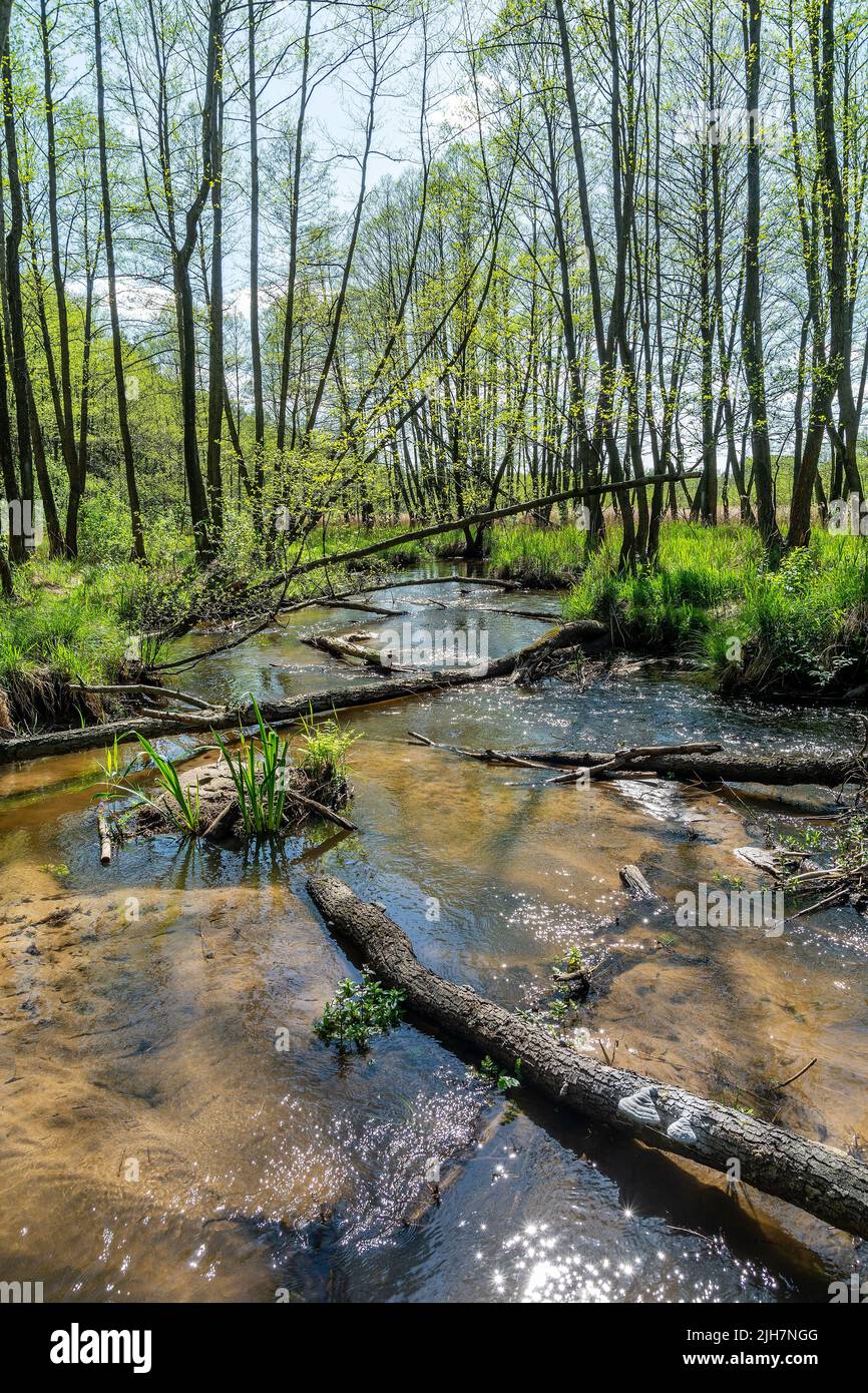 Biala river hi-res stock photography and images - Alamy