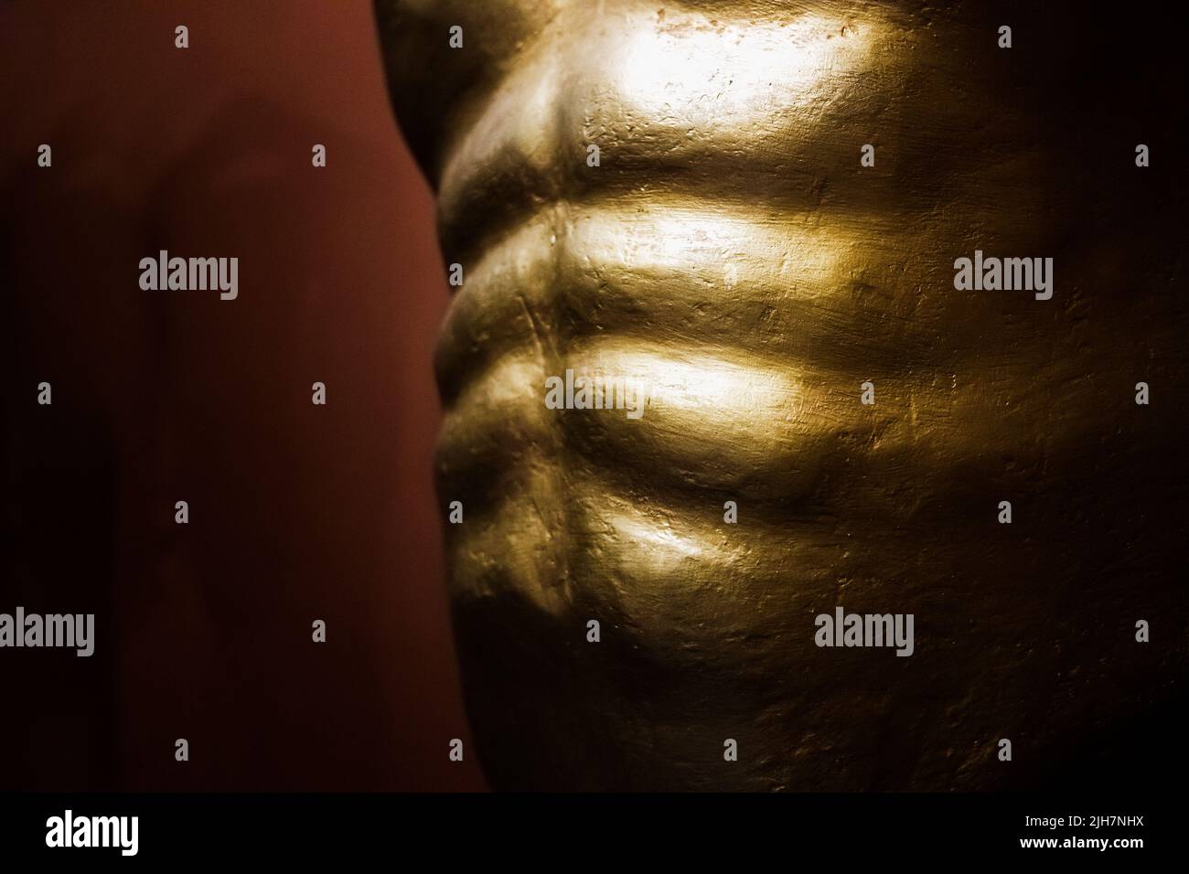 Core abdominal anatomy hi-res stock photography and images - Alamy
