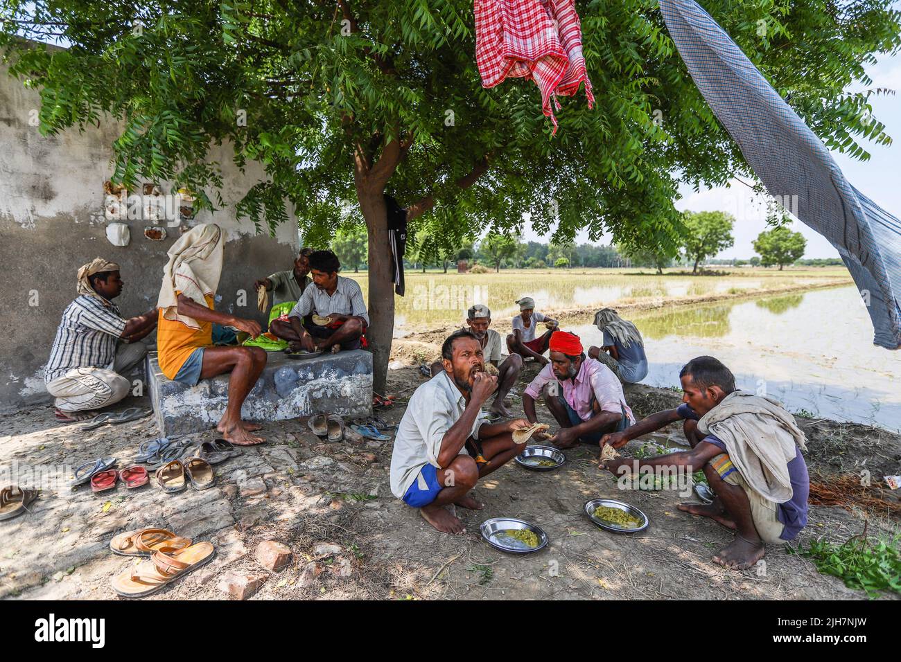 New Delhi, India. 15th July, 2022. Indian farm labourers take a break ...