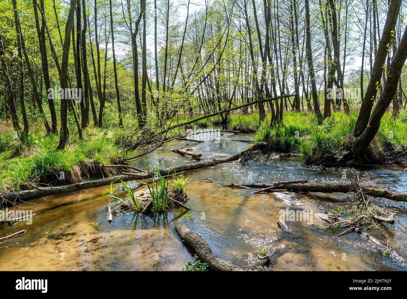 Biala river hi-res stock photography and images - Alamy