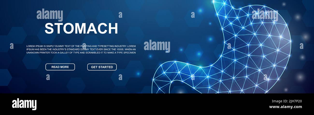 Stomach polygonal horizontal banner. Digestive system low poly symbol ...