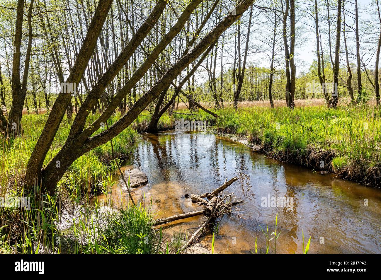 Biala river hi-res stock photography and images - Alamy