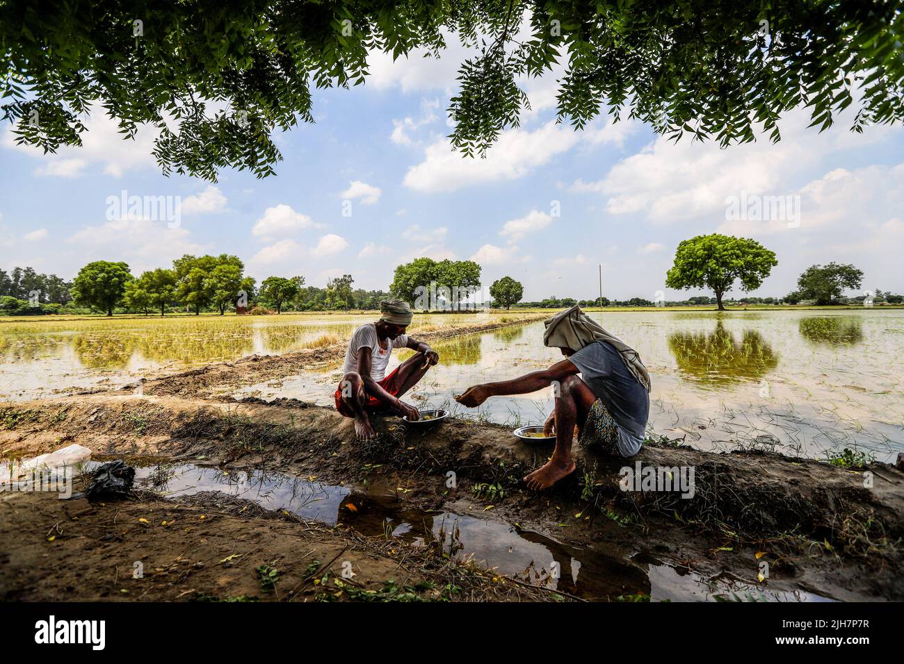 Indian farm labourers take a break after working in a paddy field on ...