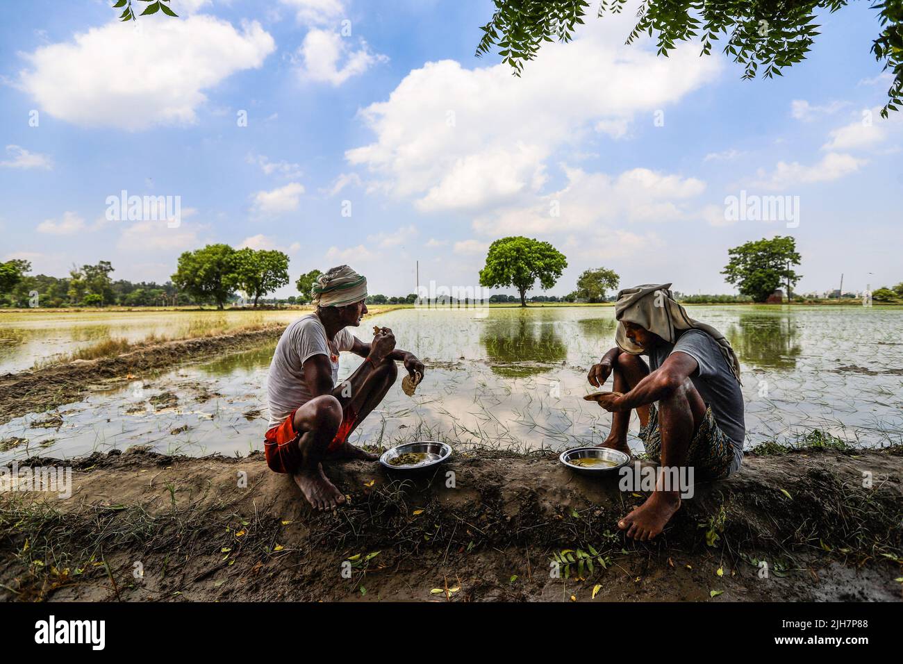 Indian farm labourers take a break after working in a paddy field on ...