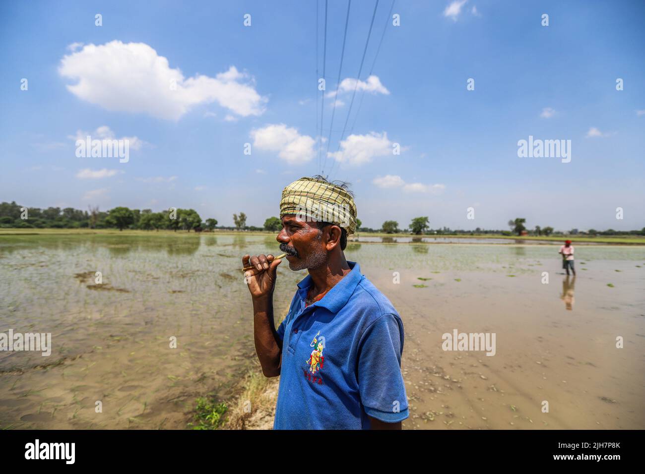 An Indian farm labourer takes a break after working in a paddy field on ...