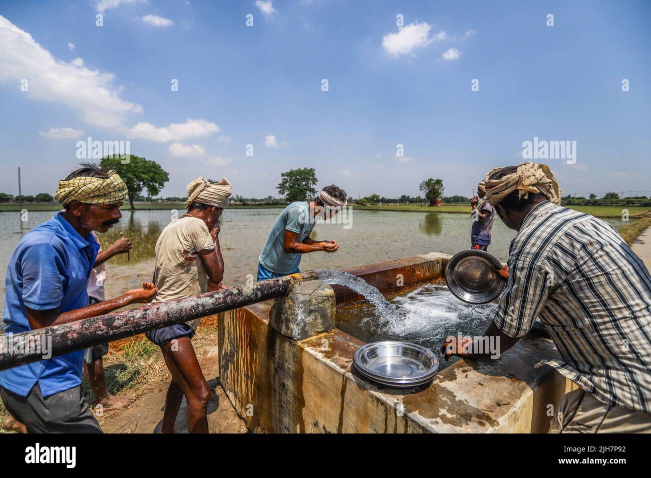 Indian farm labourers wash their plates after having lunch as they take ...