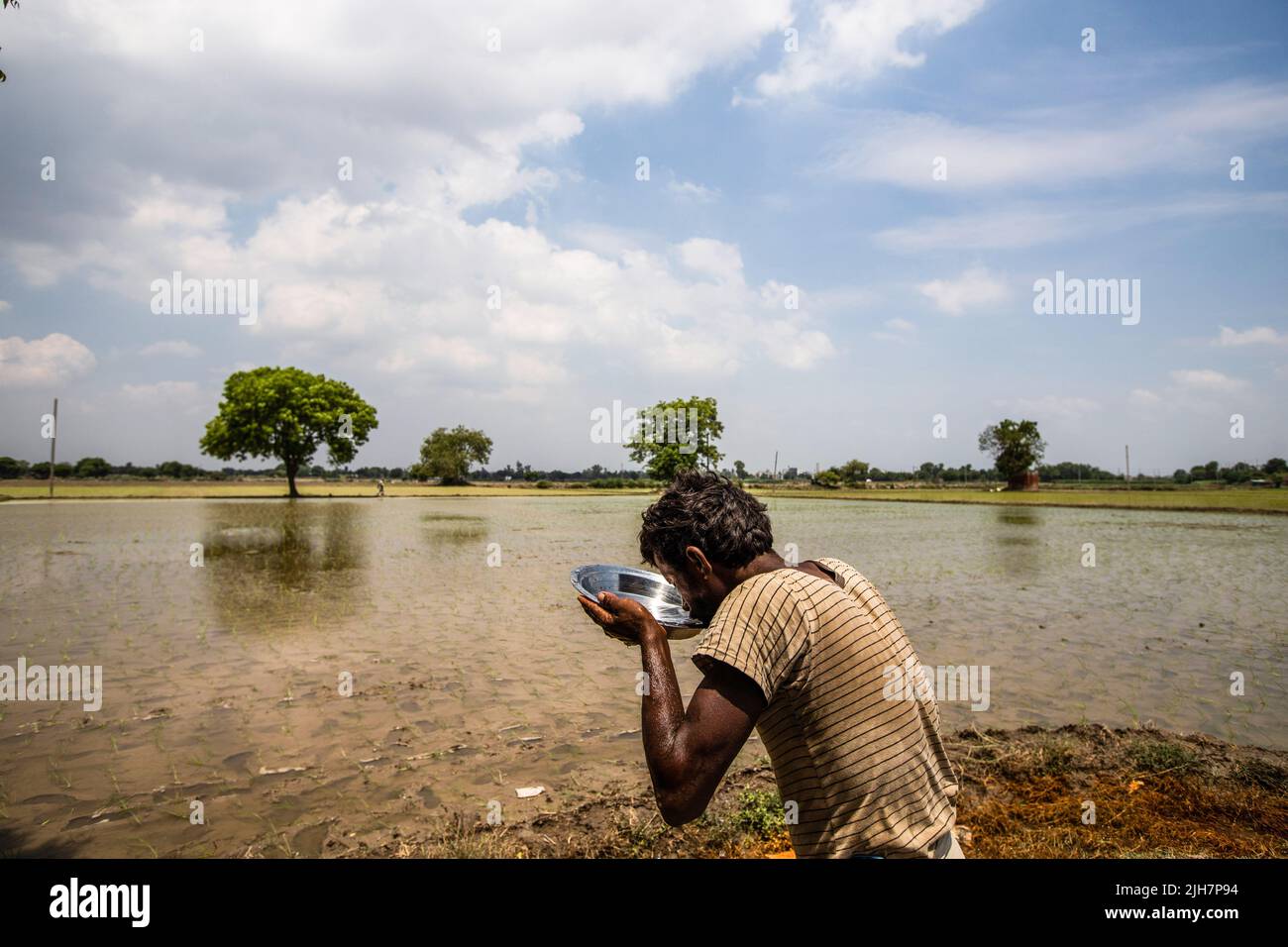 An Indian farm labourer drinks water while taking a break after working ...