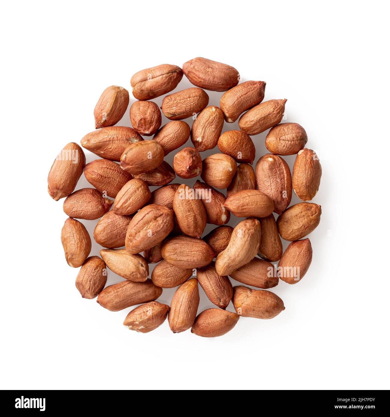 Growing Monkey Nuts Peanuts Clipart