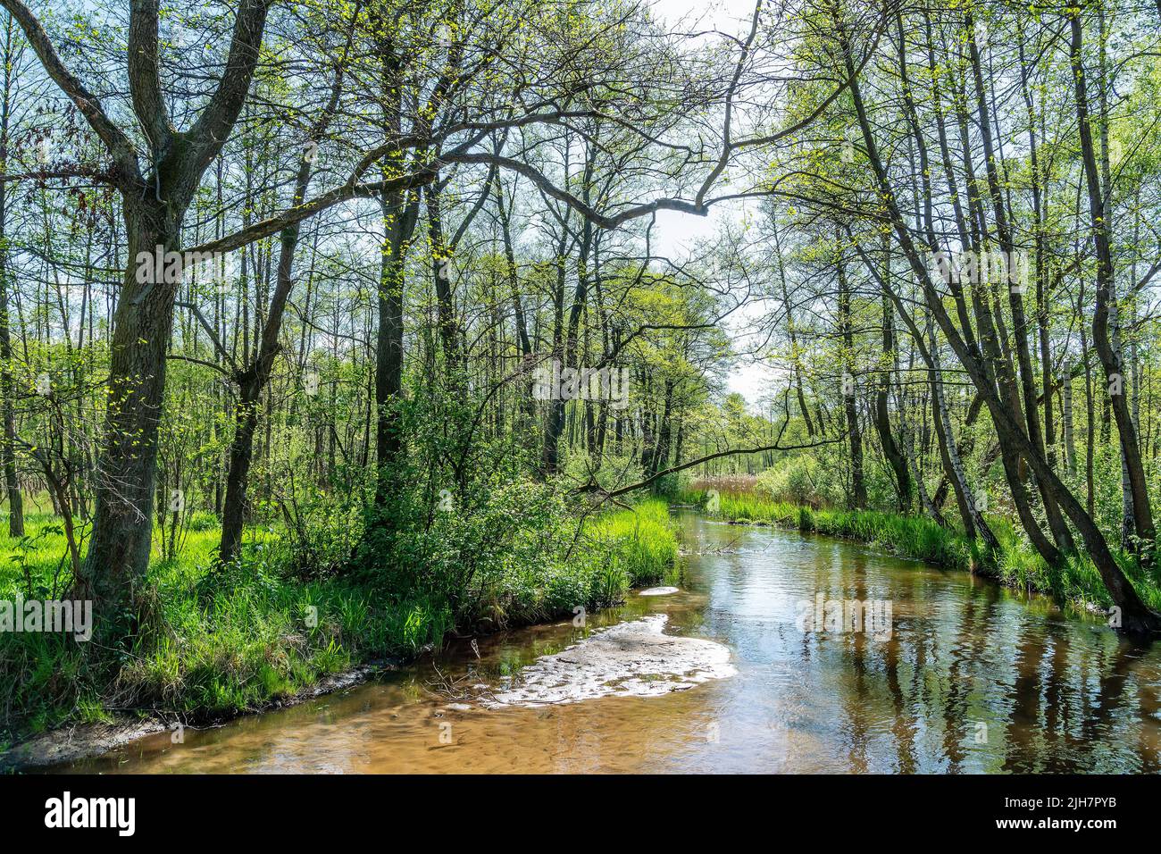 Biala river hi-res stock photography and images - Alamy