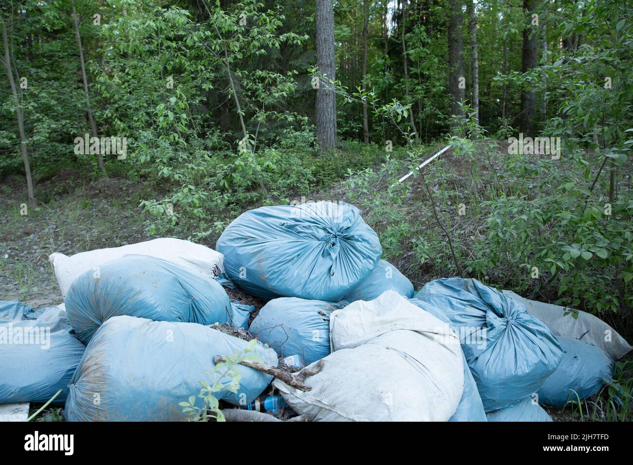 Garbage and pollution. Environmental protection or volunteering for ...