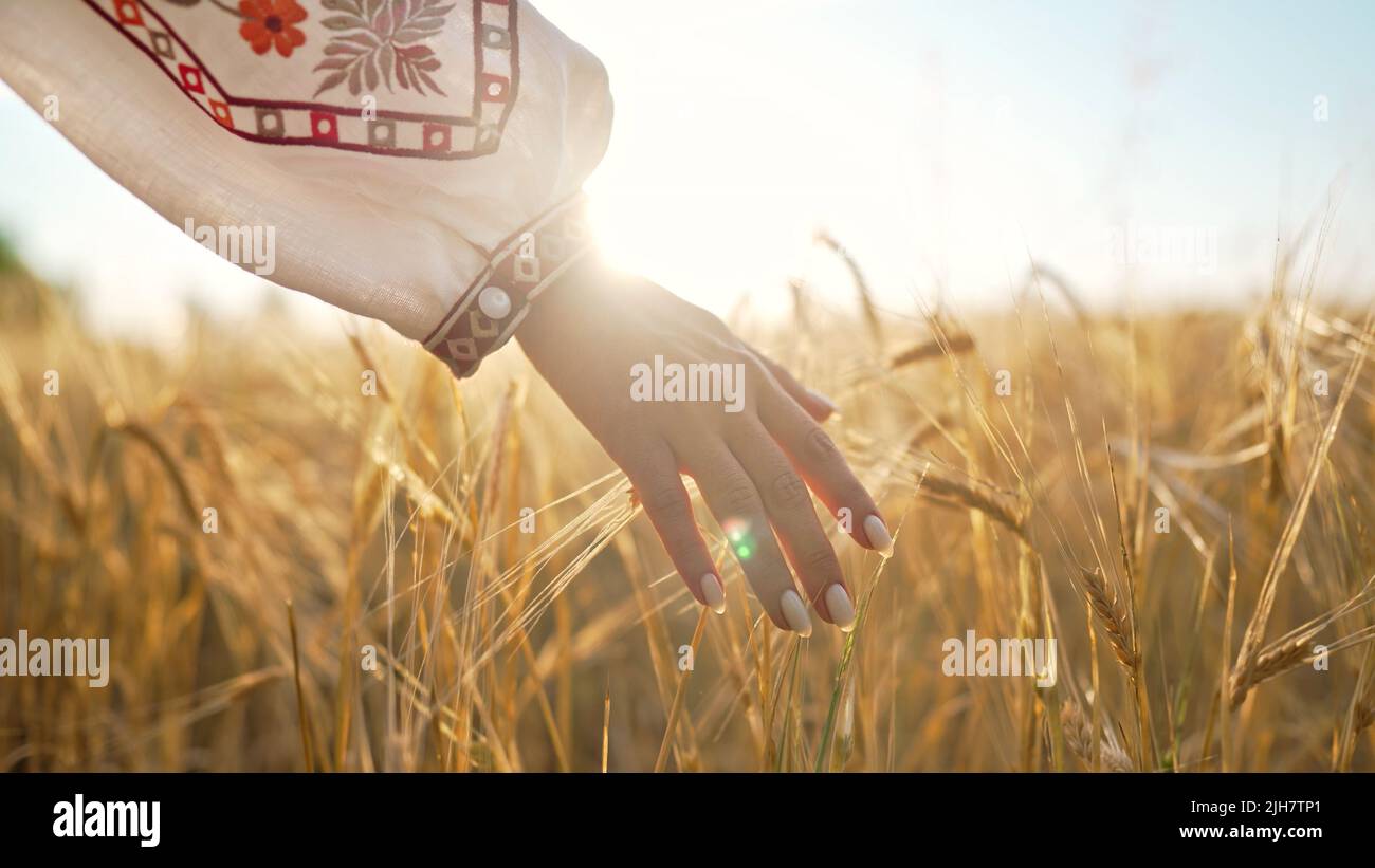 Chernozem ukraine wheat hi-res stock photography and images - Alamy