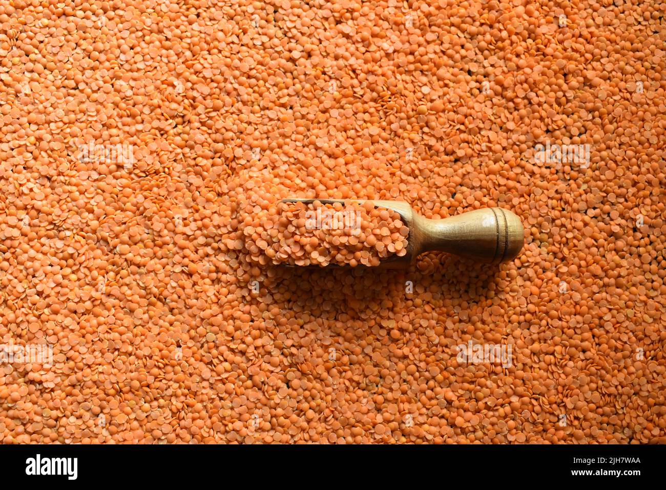Raw split dried red Masoor lentils Stock Photo - Alamy