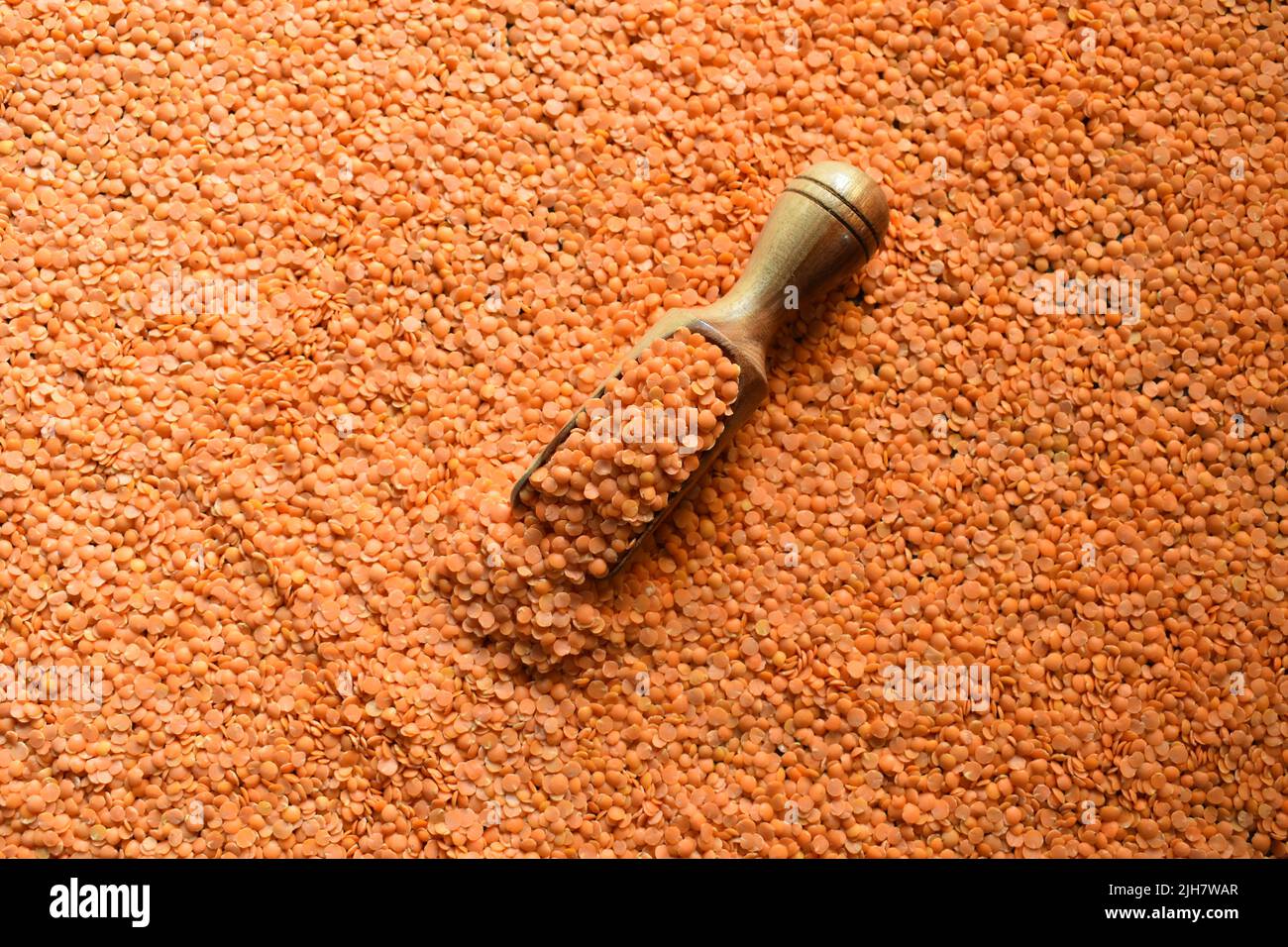 Raw split dried red Masoor lentils Stock Photo - Alamy