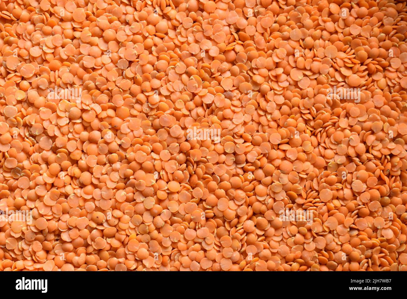 Raw split dried red Masoor lentils Stock Photo - Alamy