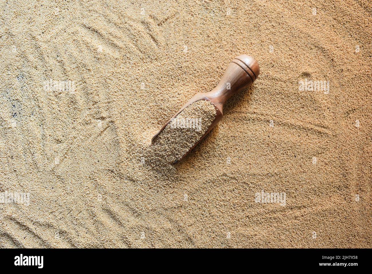 Raw whole dried Amaranth seeds Stock Photo - Alamy