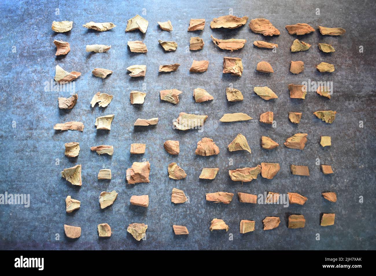 Raw whole dried Arjuna bark Stock Photo - Alamy