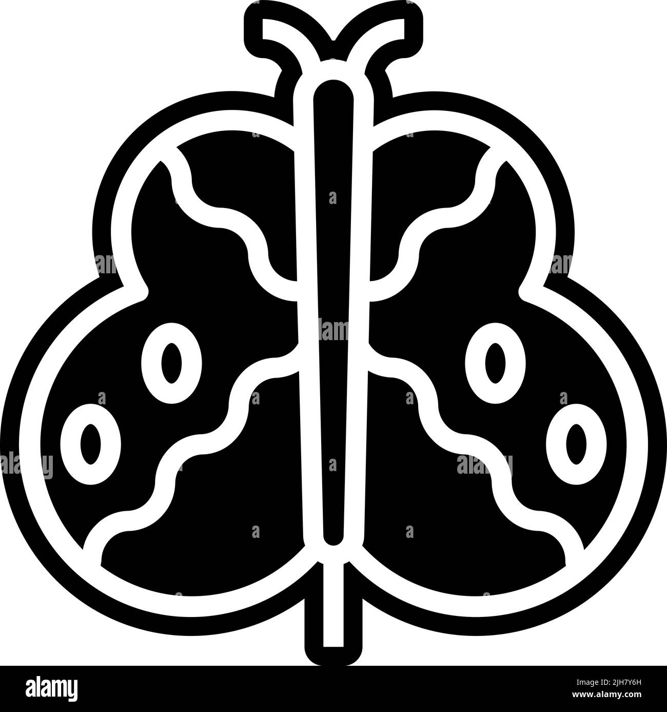 Butterfly as symbol for resurrection hi-res stock photography and ...