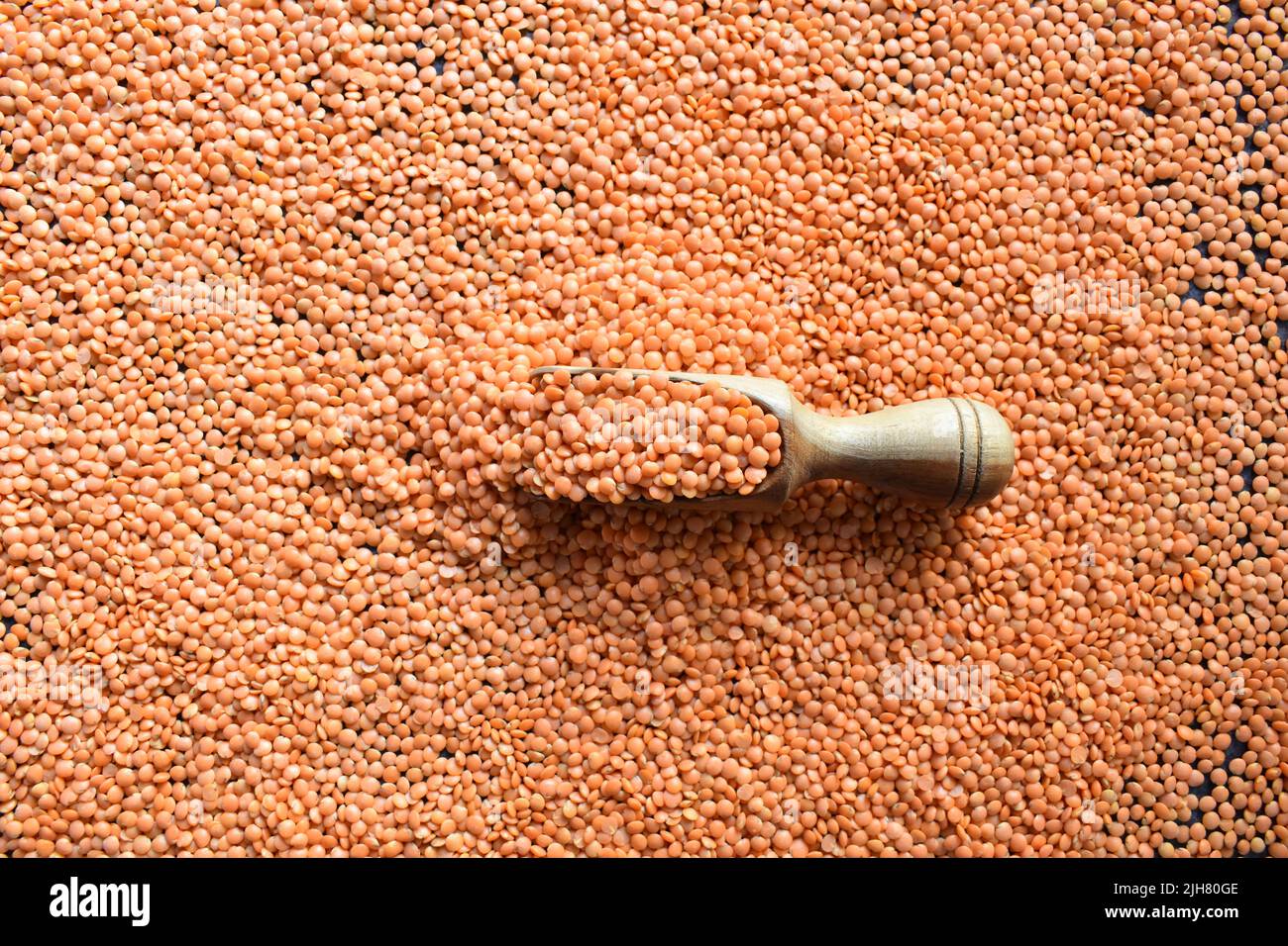 Raw whole dried red Masoor lentils Stock Photo - Alamy