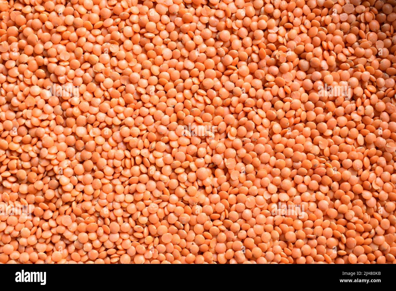 Raw whole dried red Masoor lentils Stock Photo - Alamy