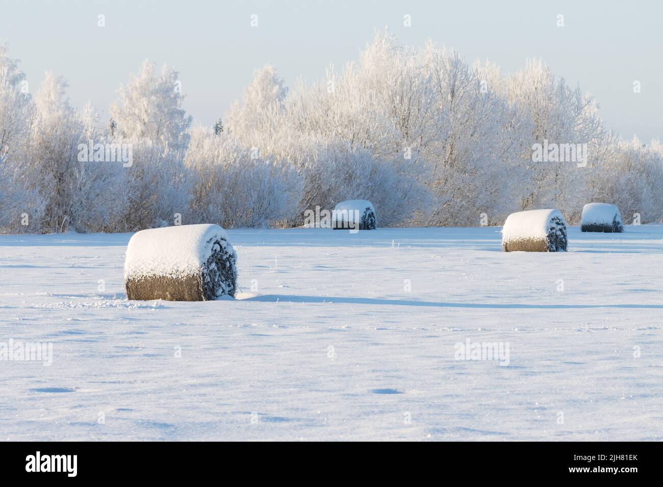 Snowy background evening hi-res stock photography and images - Alamy