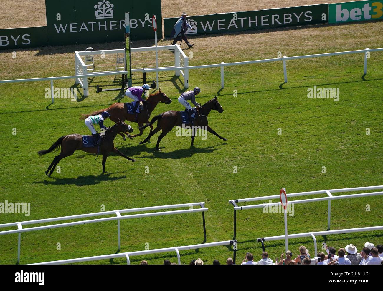 Highclere horse hi-res stock photography and images - Alamy