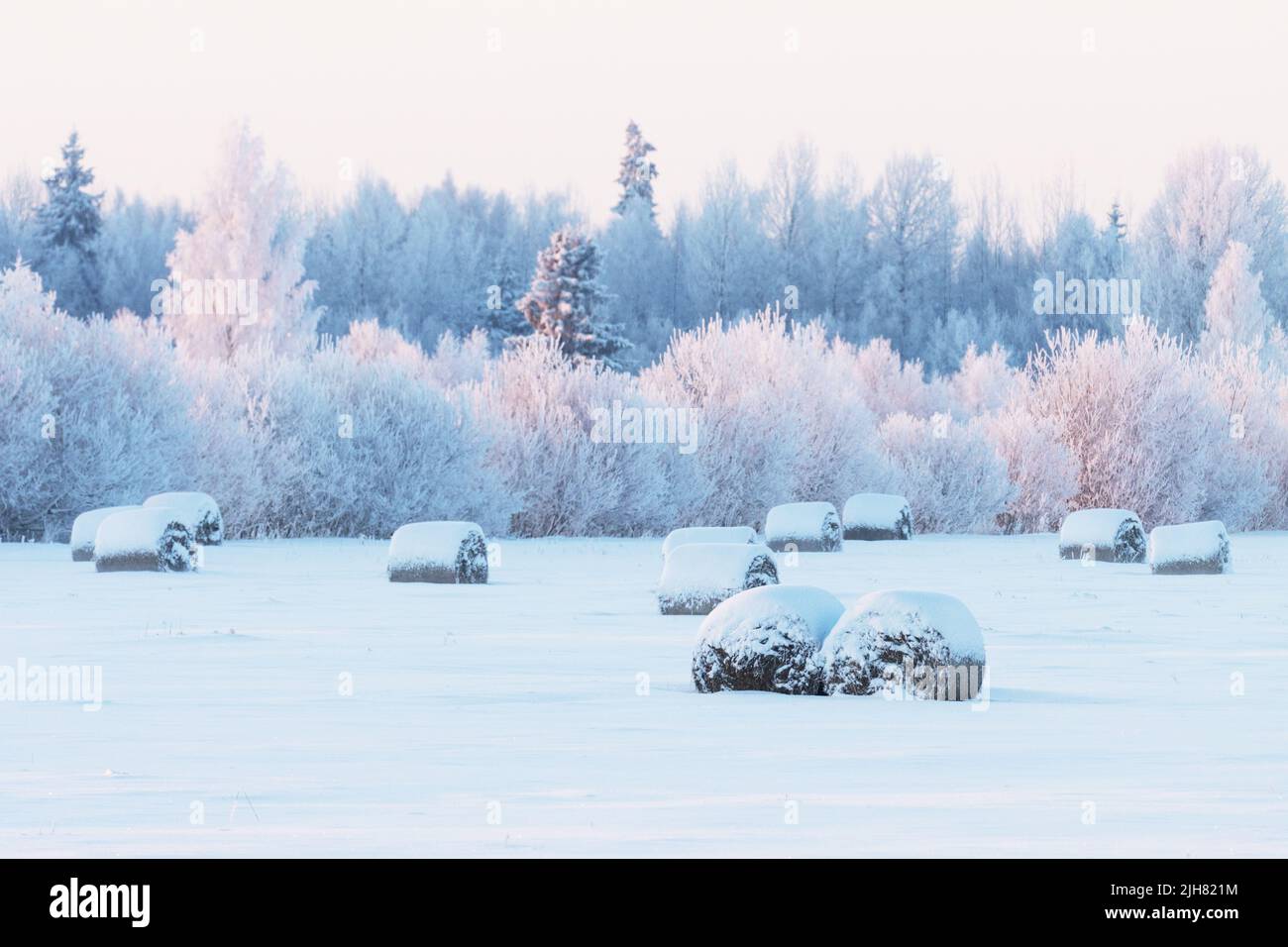 Cripsy cold hi-res stock photography and images - Alamy