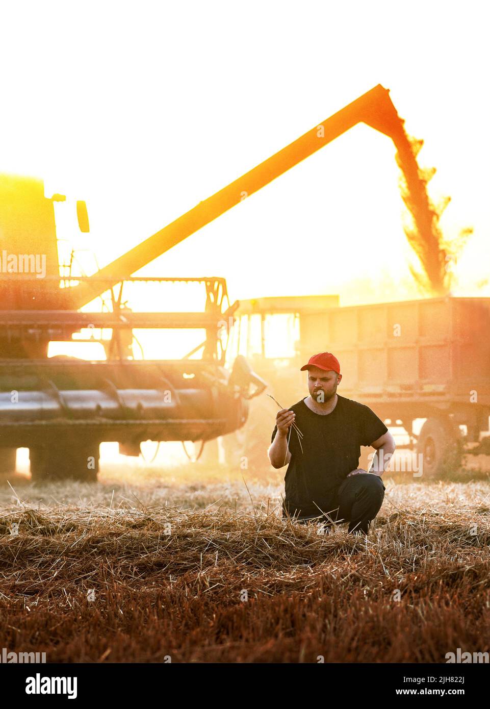 Satisfied farmer standing by harvester Stock Photo - Alamy