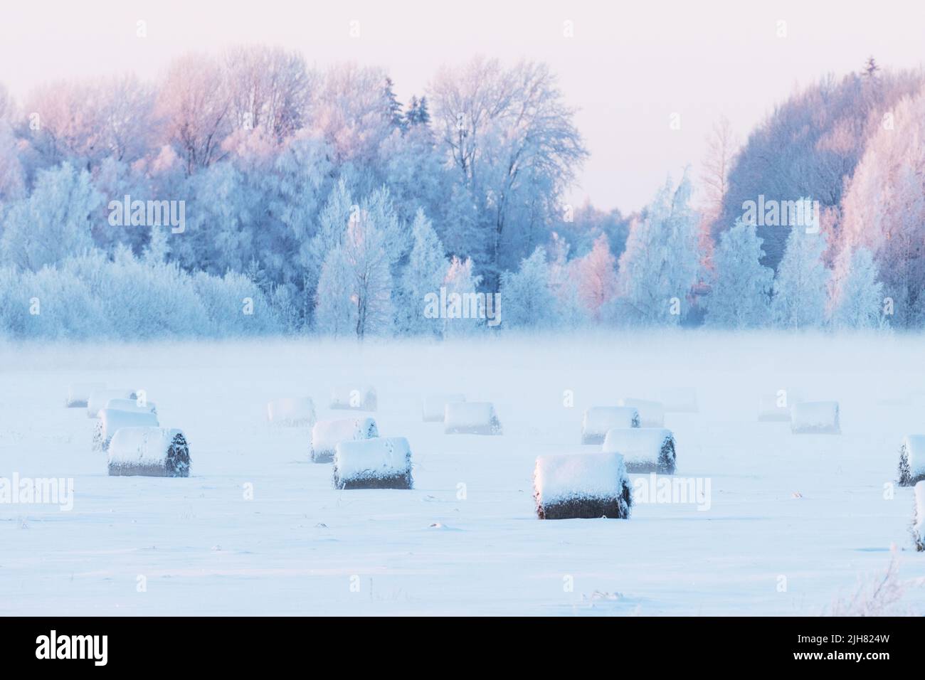 Cripsy cold hi-res stock photography and images - Alamy