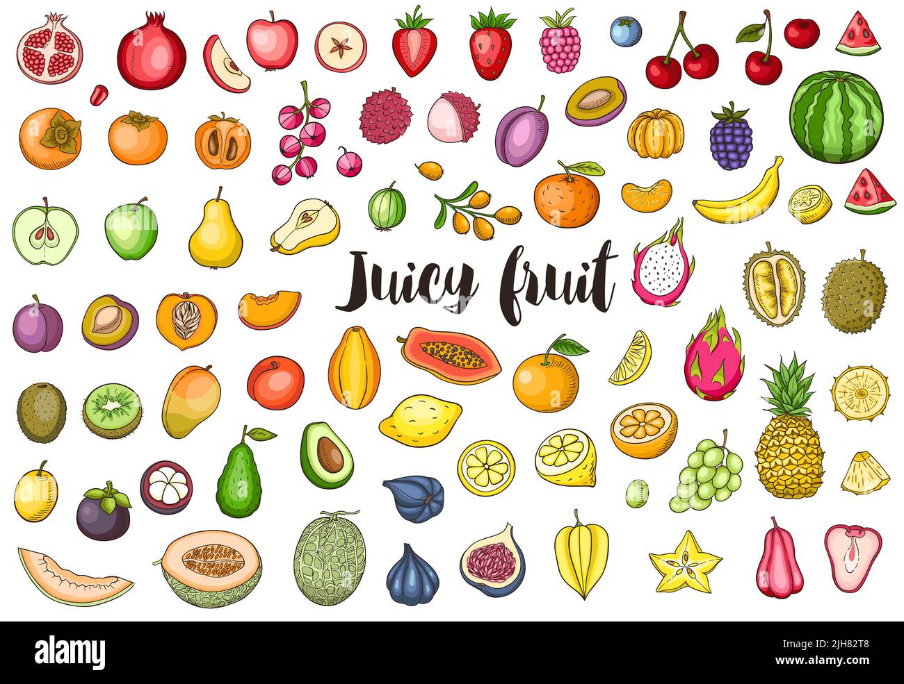 Raspberry fruit doodle hi-res stock photography and images - Alamy