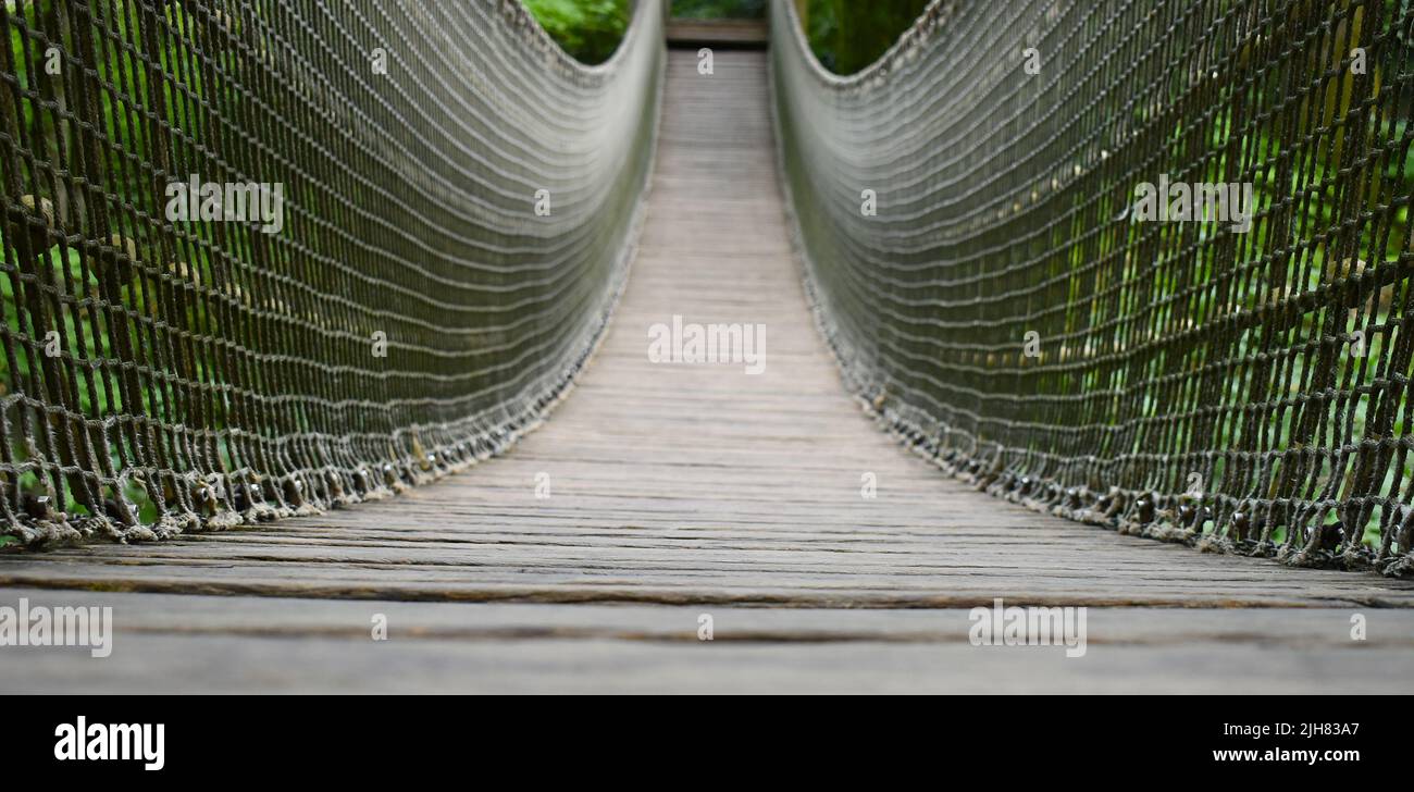Forest rope bridge hike hi-res stock photography and images - Alamy