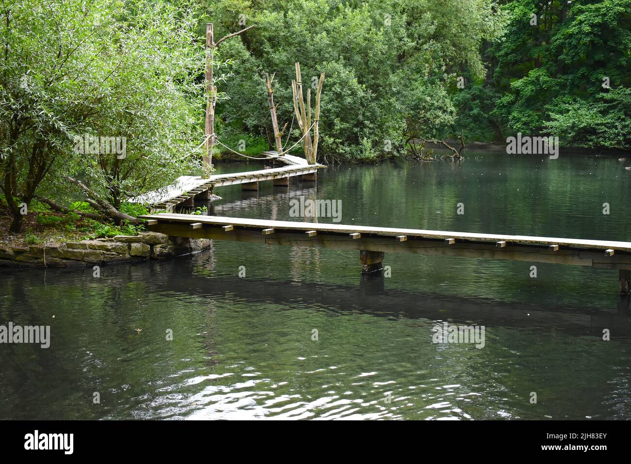 Wooden path and bridge over a lake in a forest landscape, hiking in the ...
