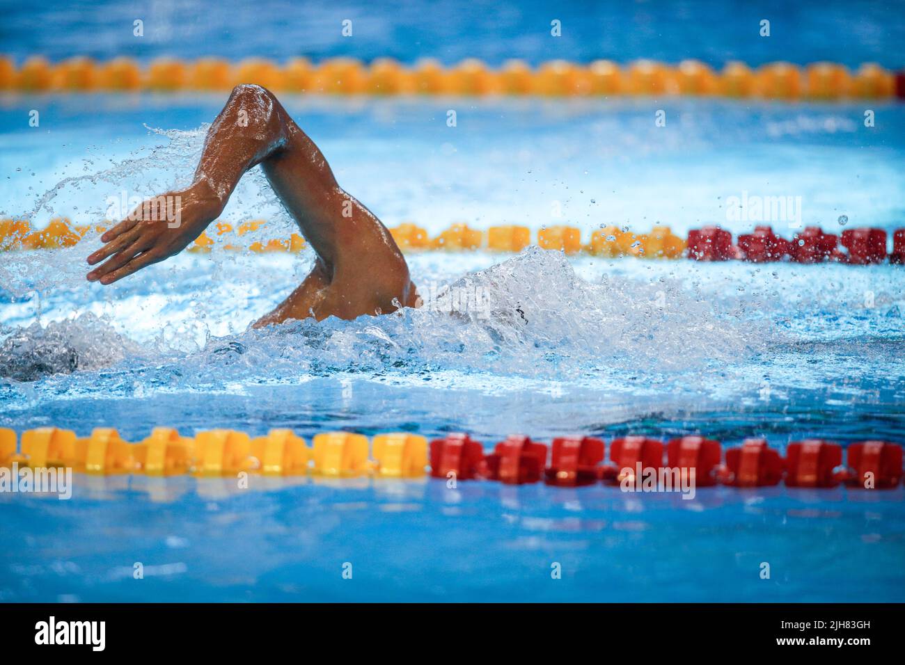 Details with a professional male athlete swimming in an olympic ...
