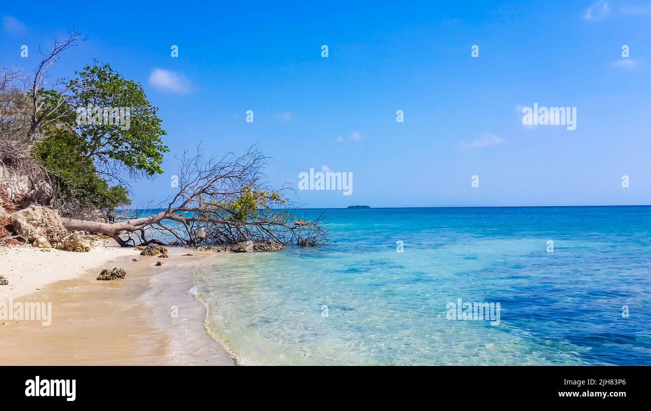 Exotic paradise scenery. Tropical landscape, seascape with large ...