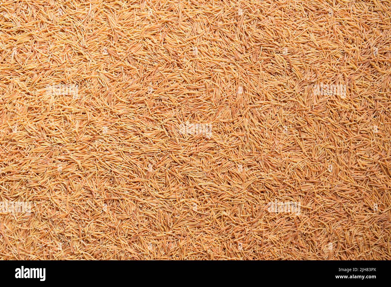 Dried roasted thin Vermicelli pasta Stock Photo - Alamy