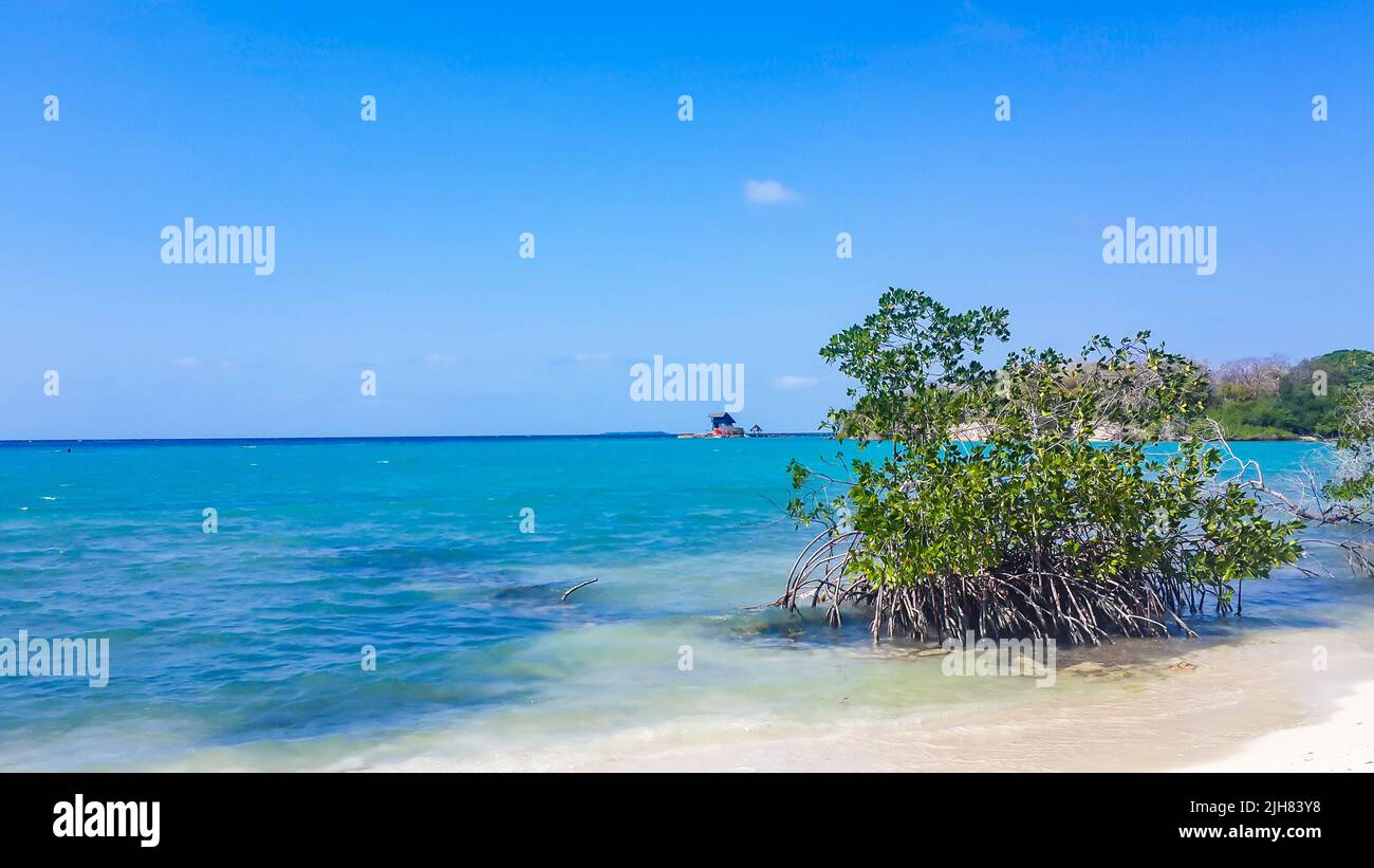 Exotic paradise scenery. Tropical landscape, seascape with large ...