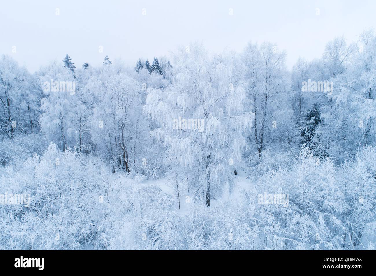 Frosty mixed hi-res stock photography and images - Alamy