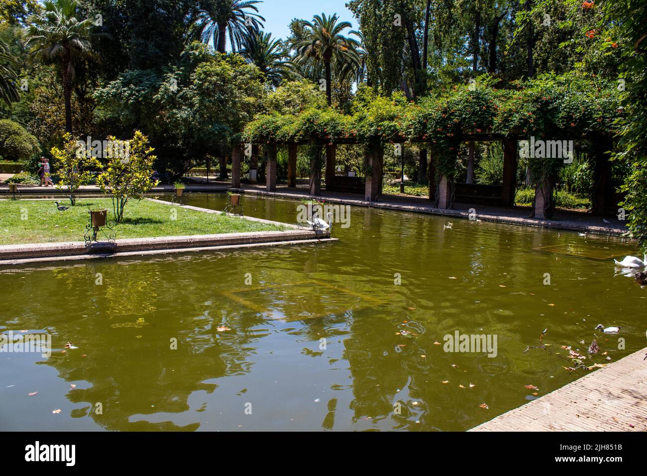 Seville, Spain - July 14, 2022 Maria Luisa Park is the first urban park ...