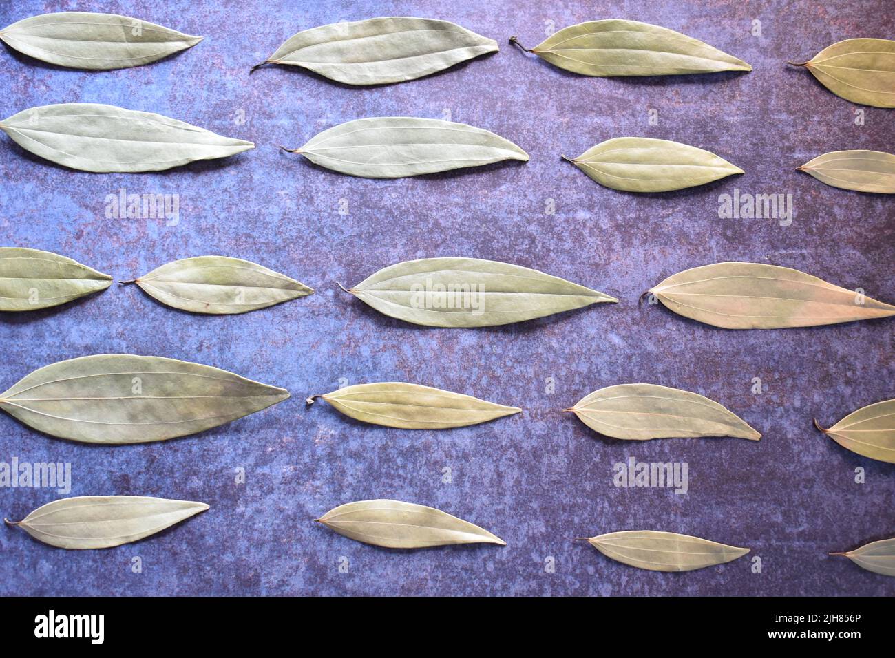 Dry bay leaf hi-res stock photography and images - Alamy