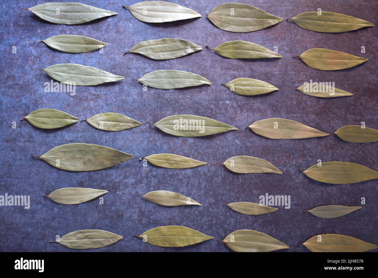Dry bay leaf hi-res stock photography and images - Alamy