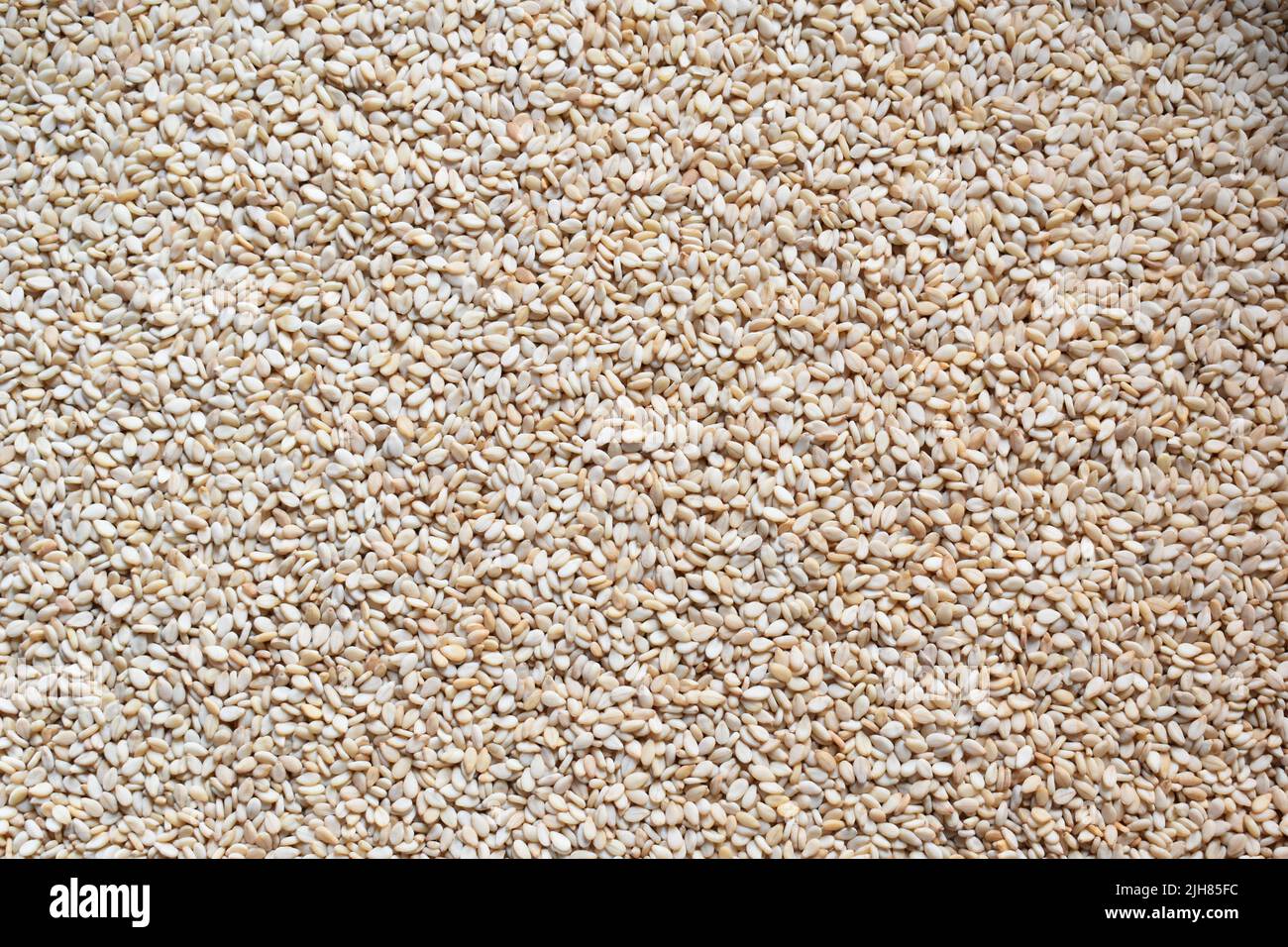 Raw whole dried white Sesame seeds Stock Photo - Alamy