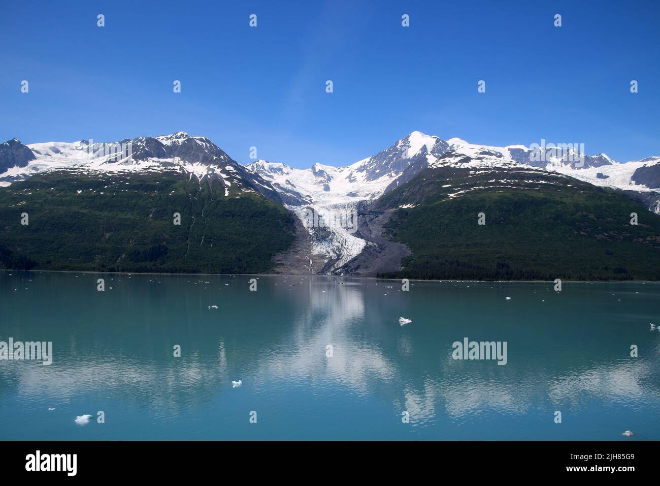 Vassar Glacier in College Fjord, Alaska, United States Stock Photo - Alamy