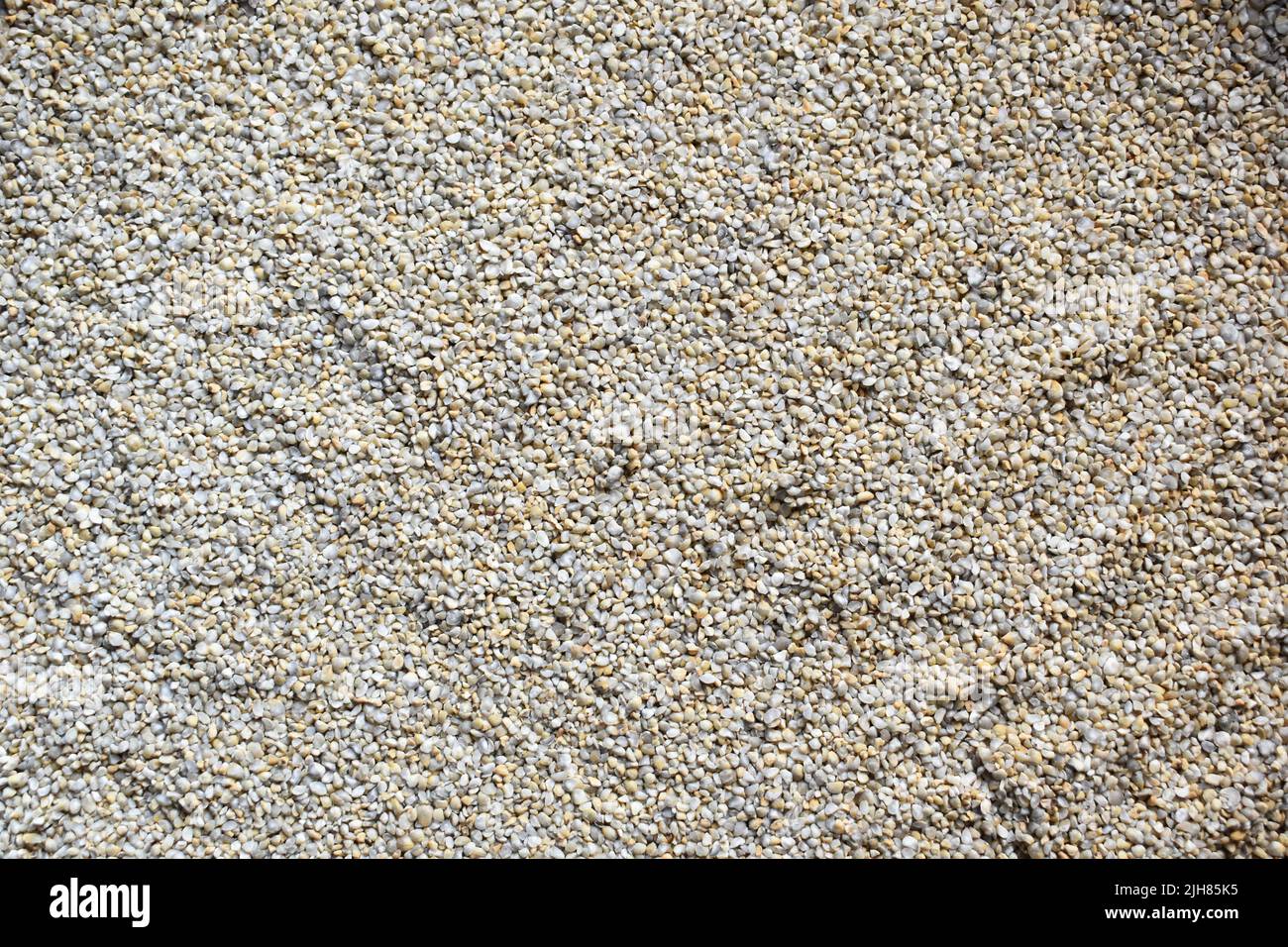 Raw broken dried Pearl millet Stock Photo - Alamy