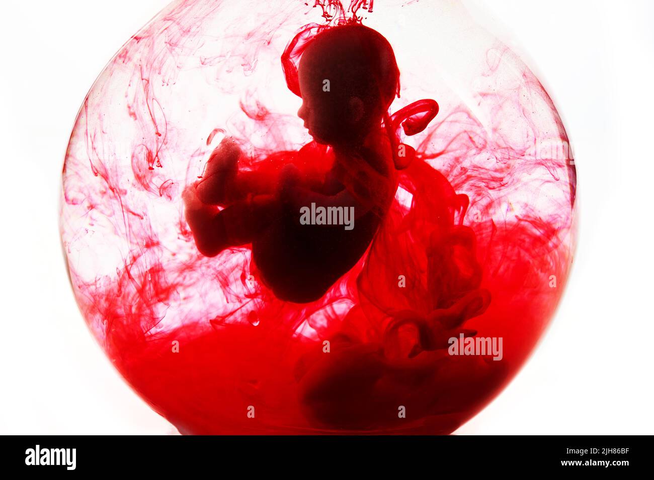 Human zygote hi-res stock photography and images - Alamy