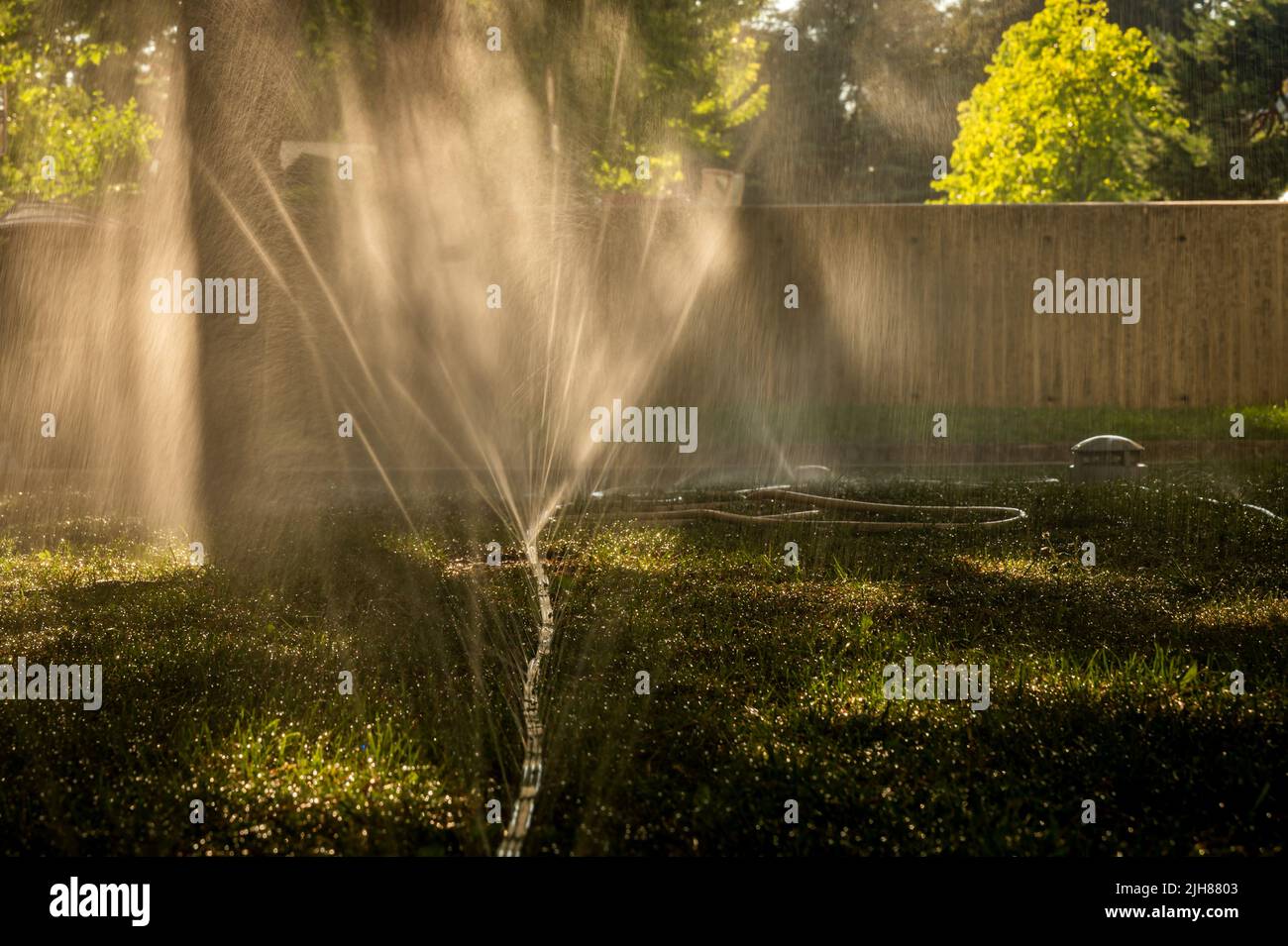 Pipes watering plants in hot summer. Irrigation system. Lawn sprinkler ...