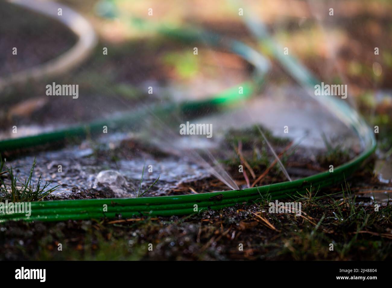 Pipes watering plants in hot summer. Irrigation system. Lawn sprinkler ...