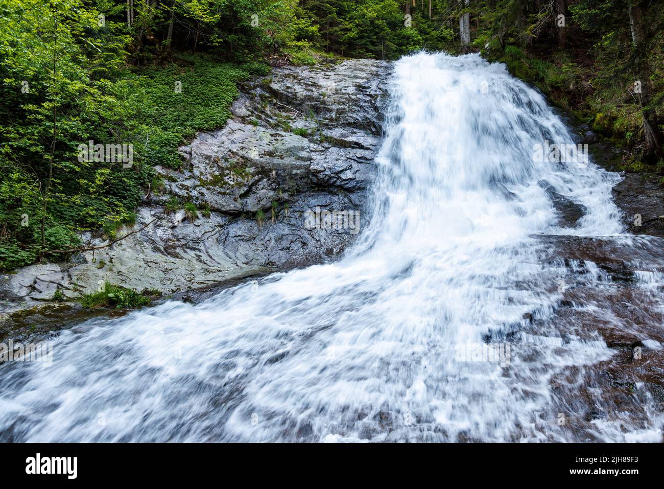 Fresh cool water from a mountain small fast stream runs among wet rocky ...